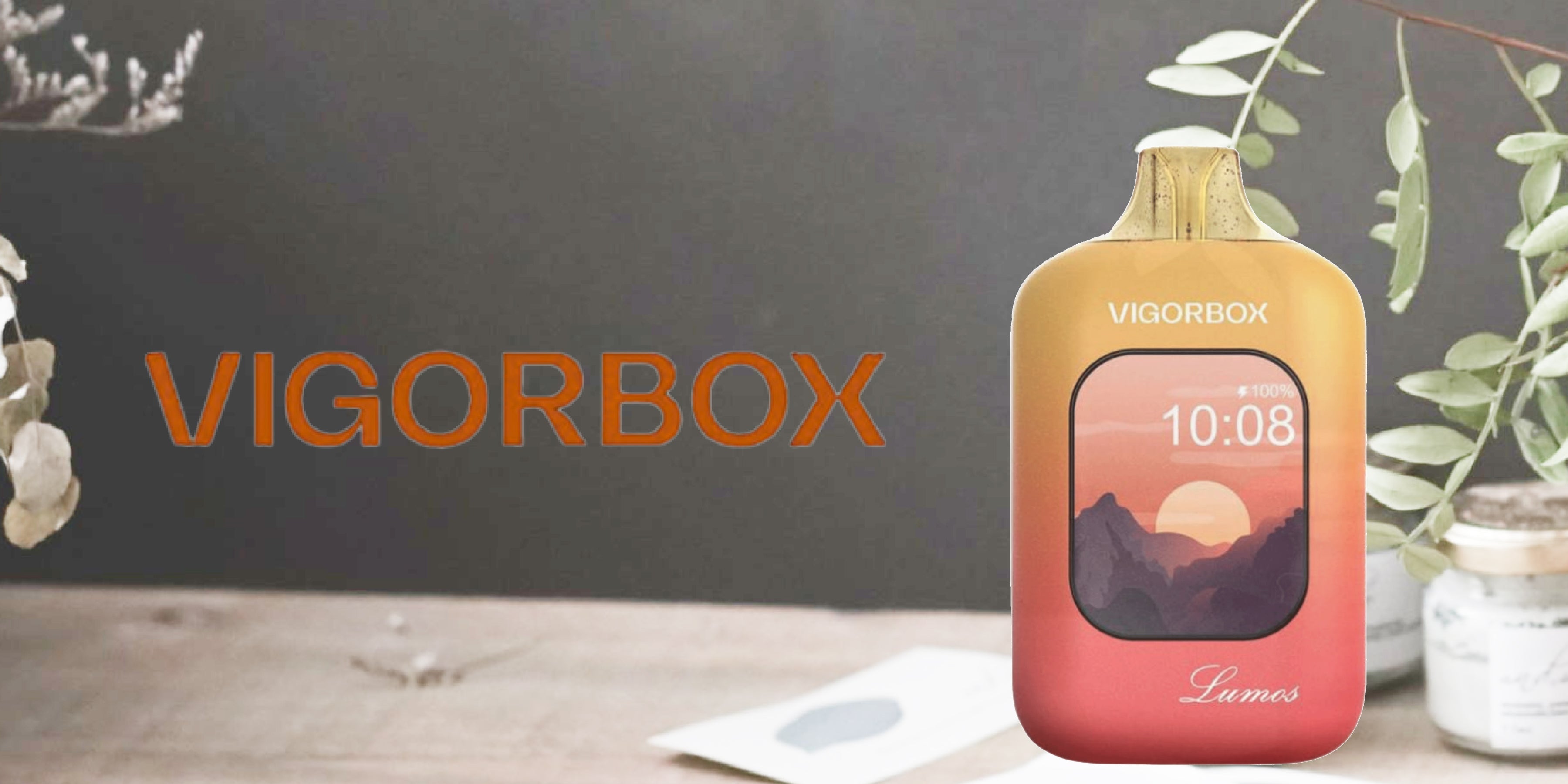 VIGORBOX – nicotinevape.co.jp